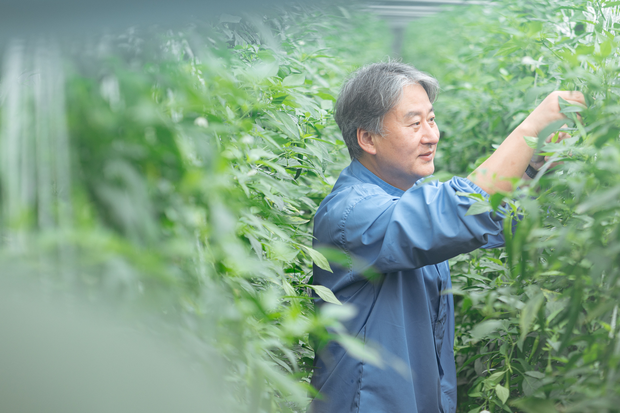 사람이 귀한 농촌 쿠팡 로켓그로스 로 찾은 해결책 쿠팡 뉴스룸